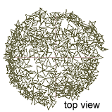 Wayne Renshaw, Architect::Virtual Garden Rendering Tips::Trees